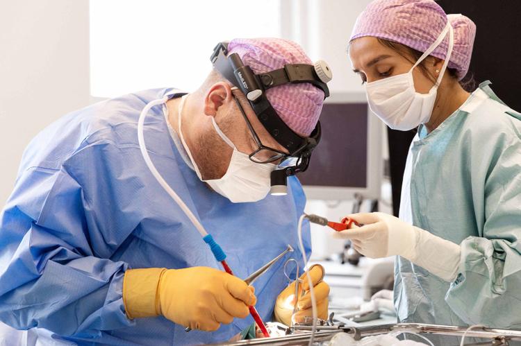 Rhinoklinikken | Bihule